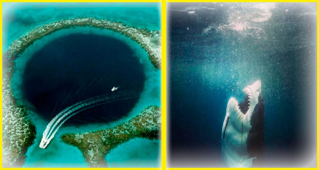 ¿Tienes talasofobia? Tu reacción a través de estas 15 imágenes te dará ...