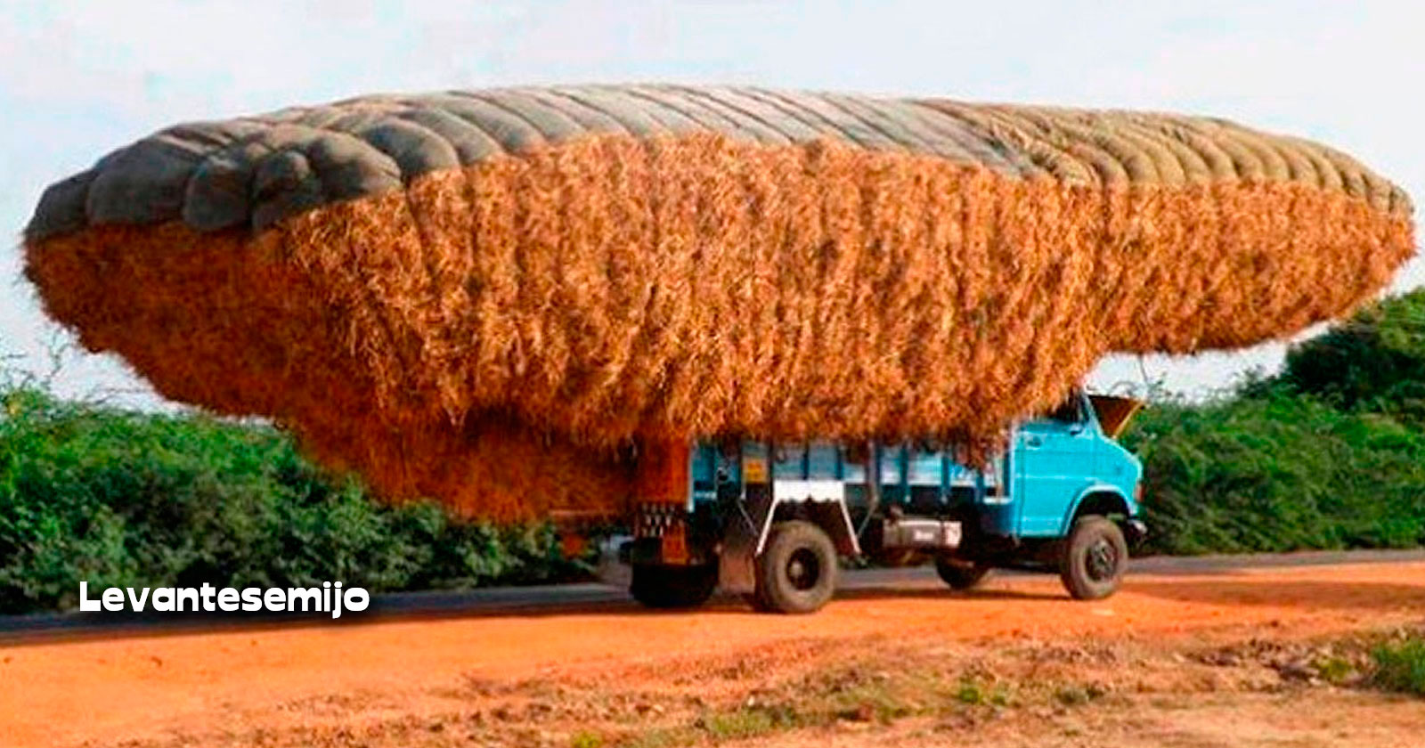 Cosas extrañas que sólo las personas más afortunadas del mundo han ...
